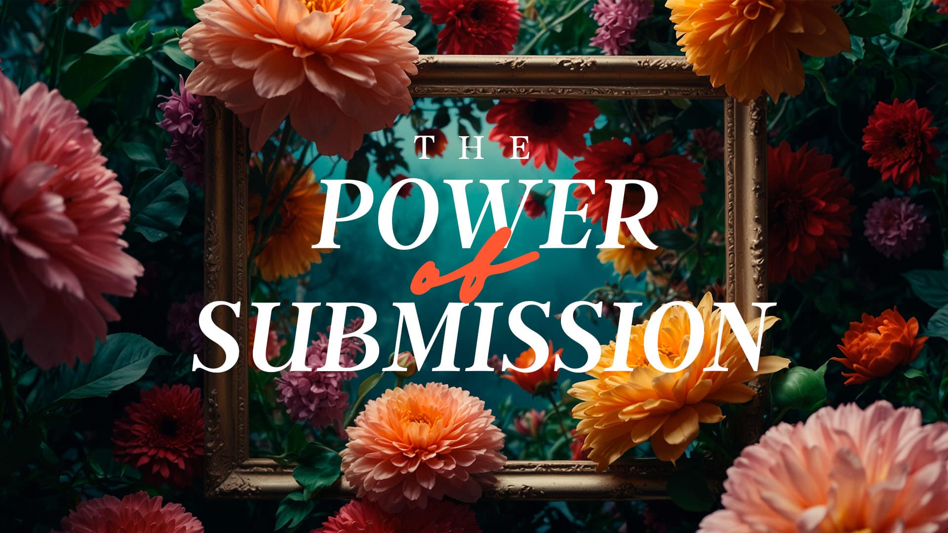 The Power of Submission » Metropolitan Baptist Church
